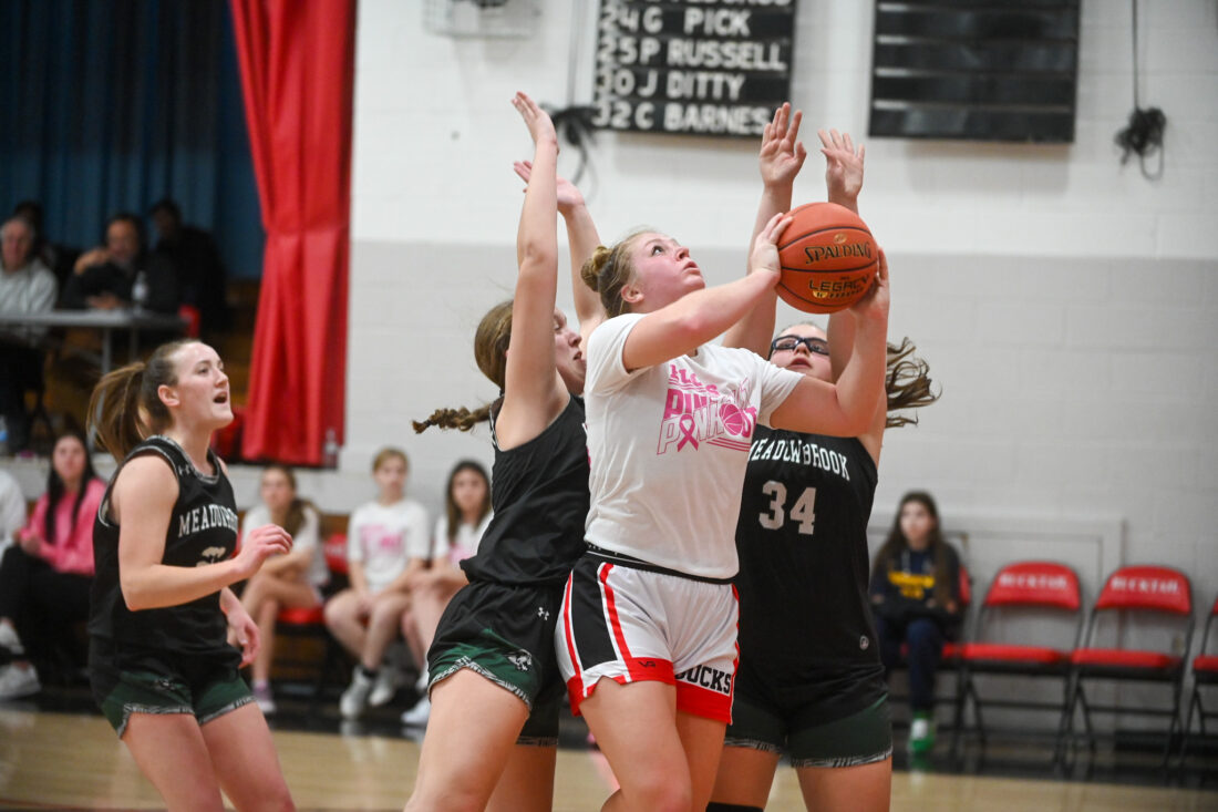 Bucktail girls basketball falls to Meadowbrook on Pink Night, 39-23 ...